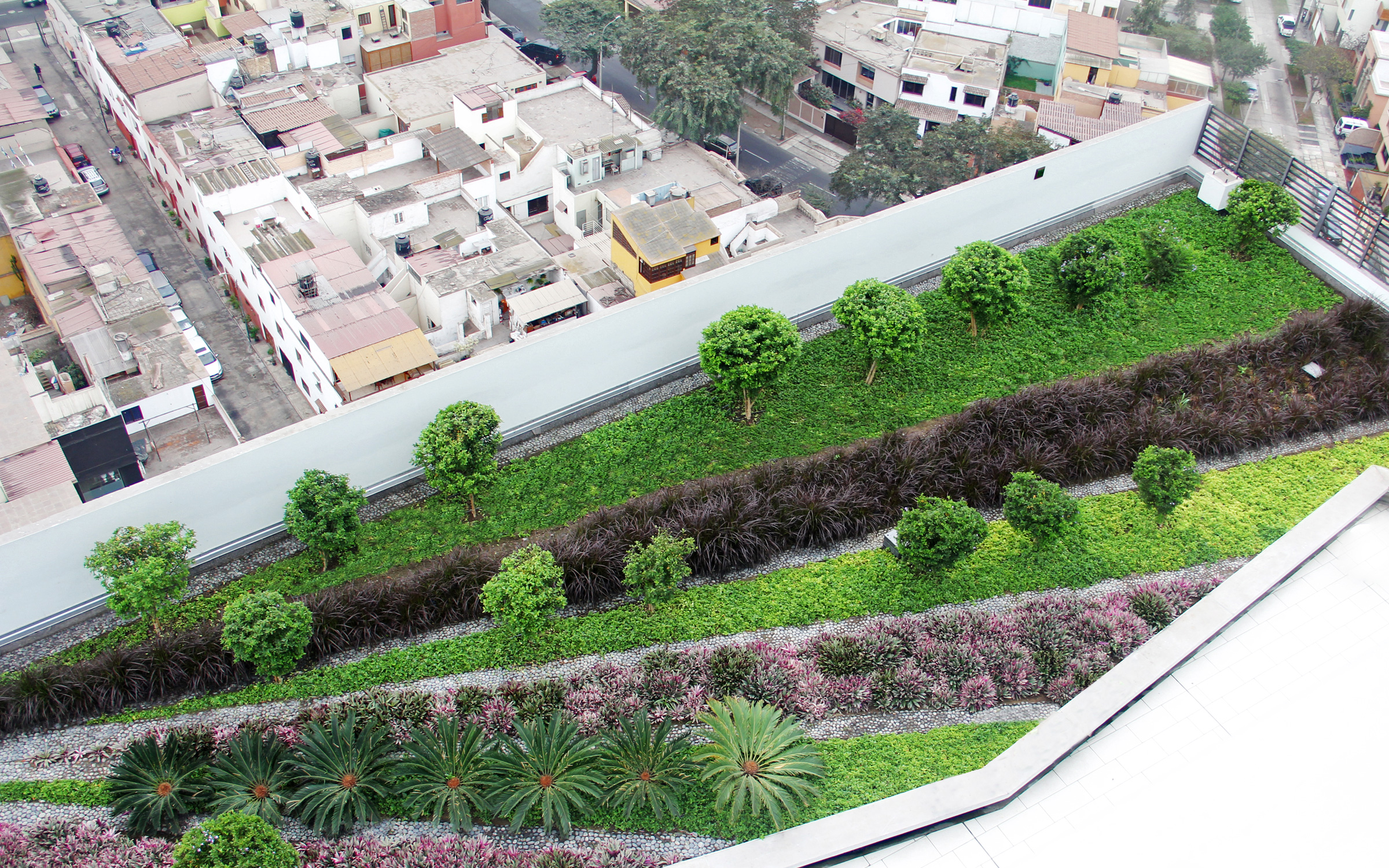 Centro Empresarial Leuro, Lima, Perú | Sistemas para cubiertas verdes | ZinCo Green Roof