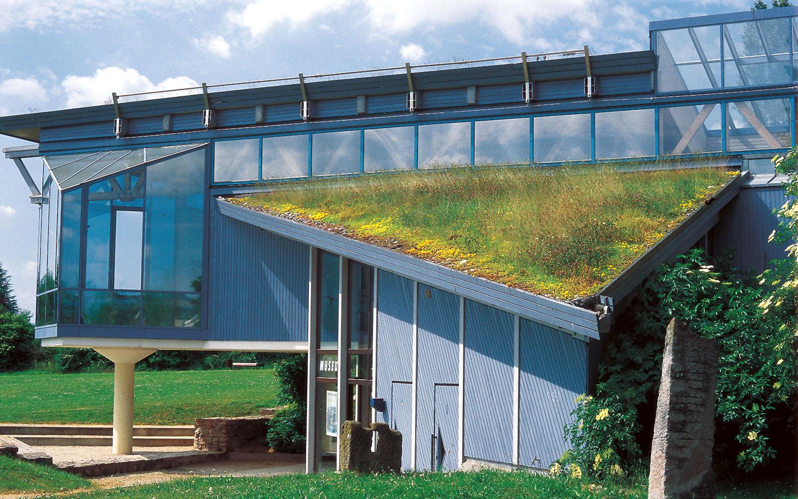 Cubiertas verdes inclinadas | Sistemas para cubiertas verdes | ZinCo ...